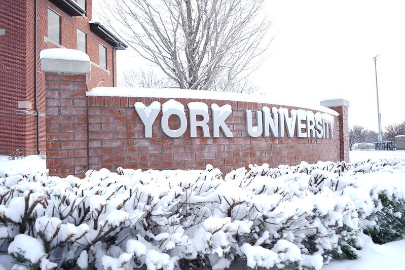 York University Ranking Courses Fees Admission Scholarships York University Ranking Courses Fees Admission Scholarships